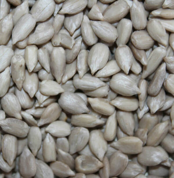 Graines de tournesol en vrac - Sunflower seeds – By Moroccan
